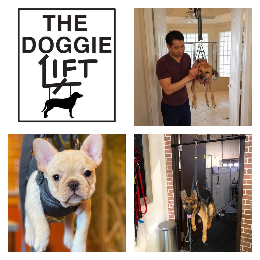 The Doggie Lift - French Bull Dog Club of America