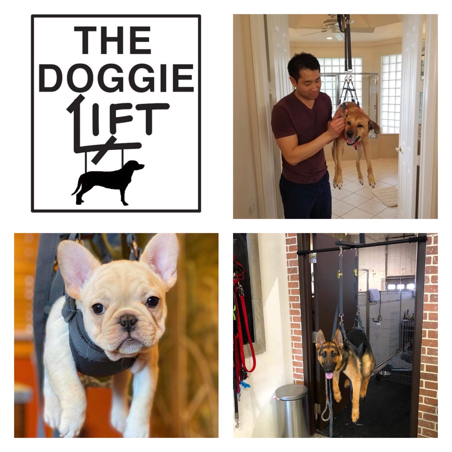 The Doggie Lift - French Bull Dog Club of America