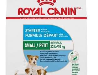 Puppy Food Starter Pack - French Bull Dog Club of America
